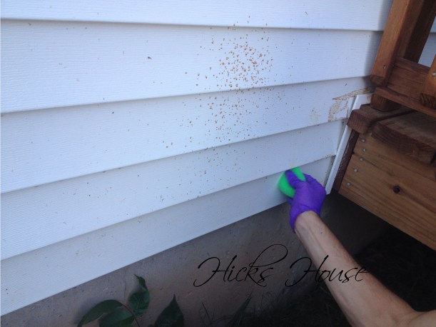 How to Remove Stain from Vinyl Siding | Hicks House