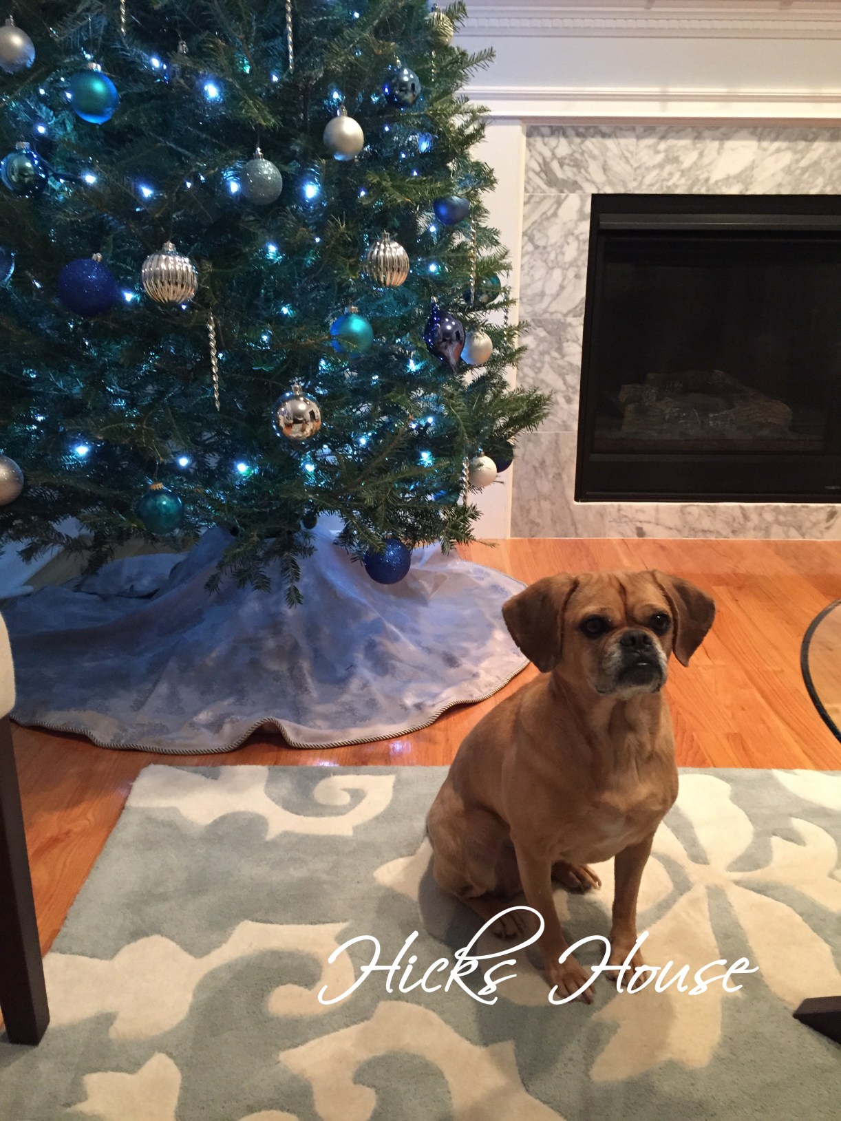 Christmas at the Hicks | Hicks House
